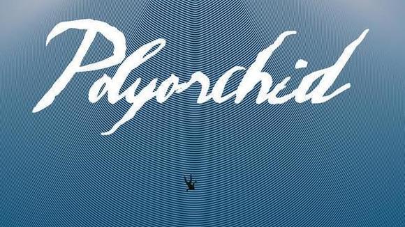 POLYORCHID | Rock Live Act from Liverpool | gigmit